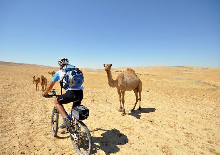 Freeload Bicycle Rack | Best Awards