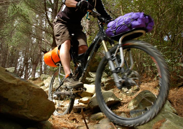 Freeload Bicycle Rack | Best Awards