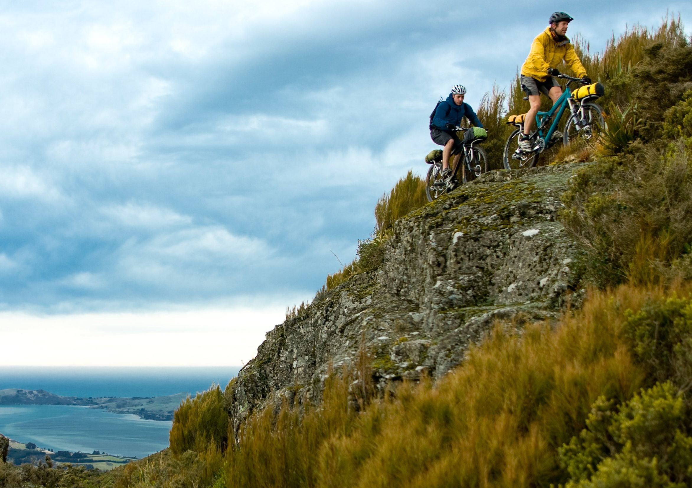 Freeload Bicycle Rack | Best Awards