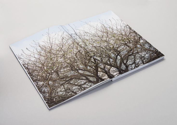 Portrait of a House | Best Awards