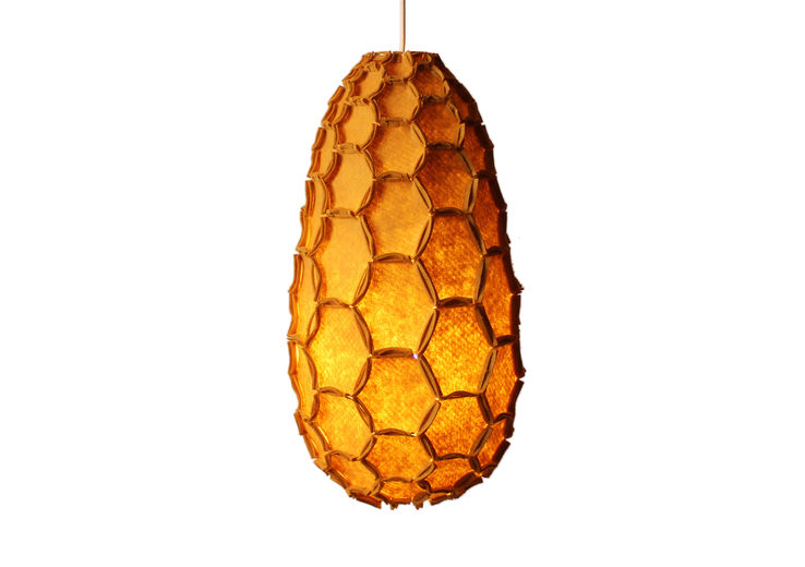 Nectar Lampshade | Best Awards