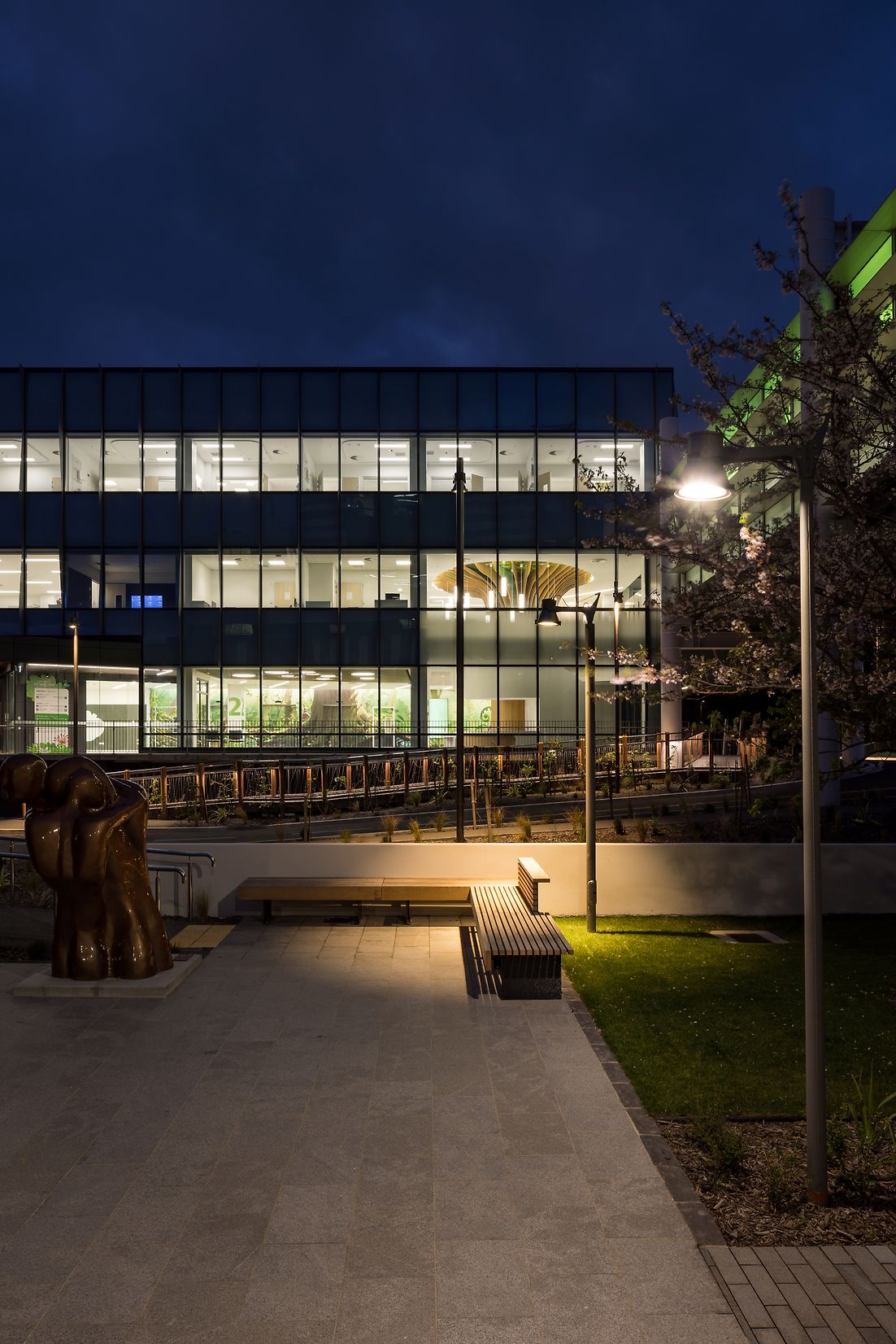 Wellington Children's Hospital Te Wao Nui | Best Awards