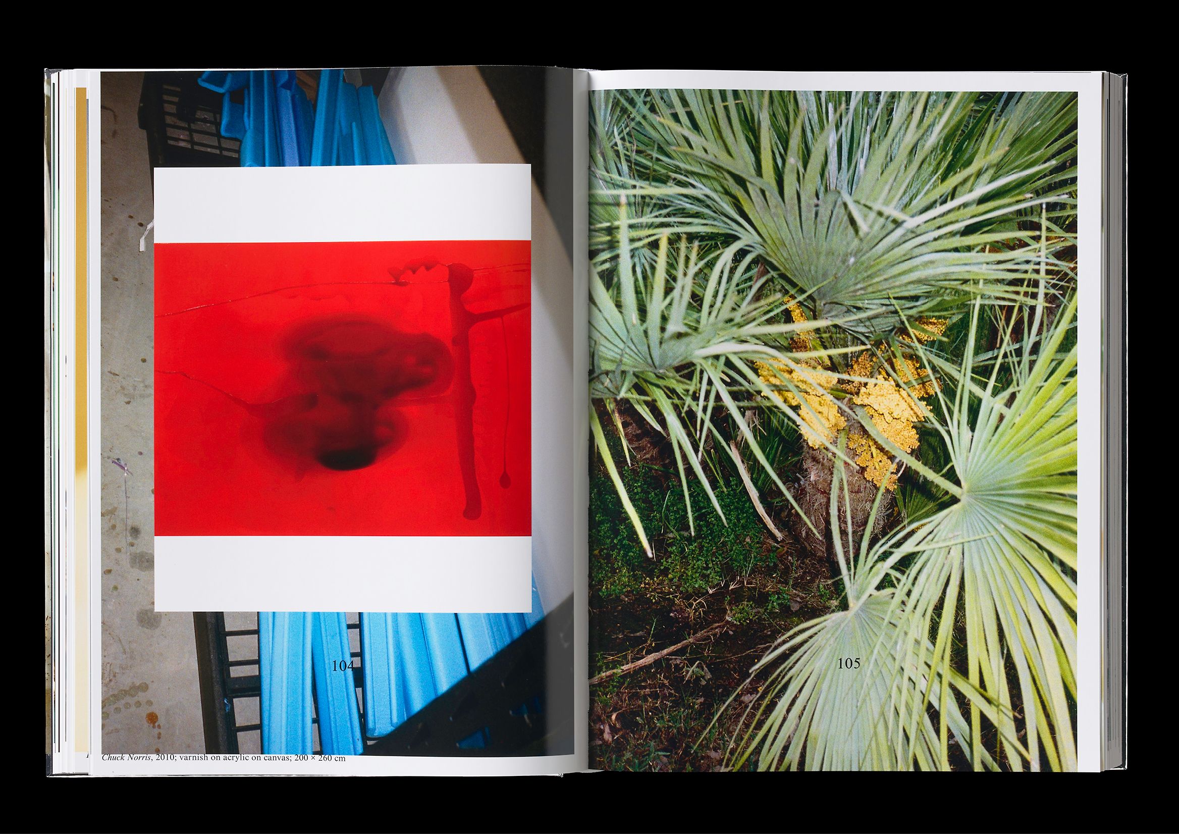 Dale Frank, Artist: Artworks 2006–2023 | Best Design Awards