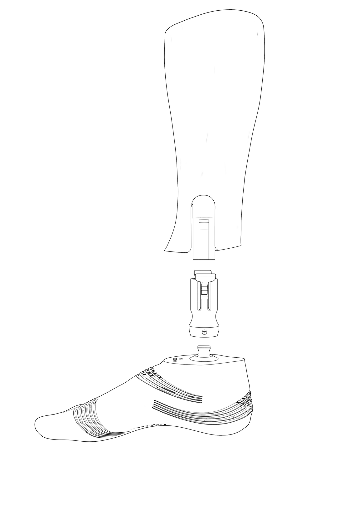 Dynamic Recreational Prosthetic Foot with Quick-Release Coupling System ...