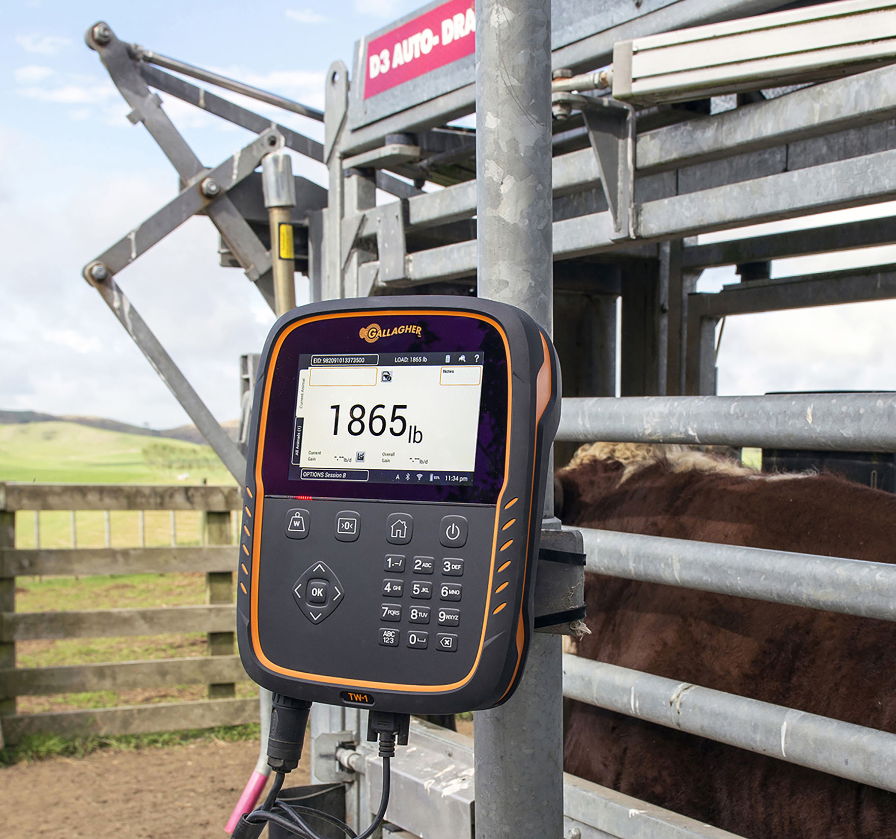 Gallagher TW Series Weigh Scale | Best Awards