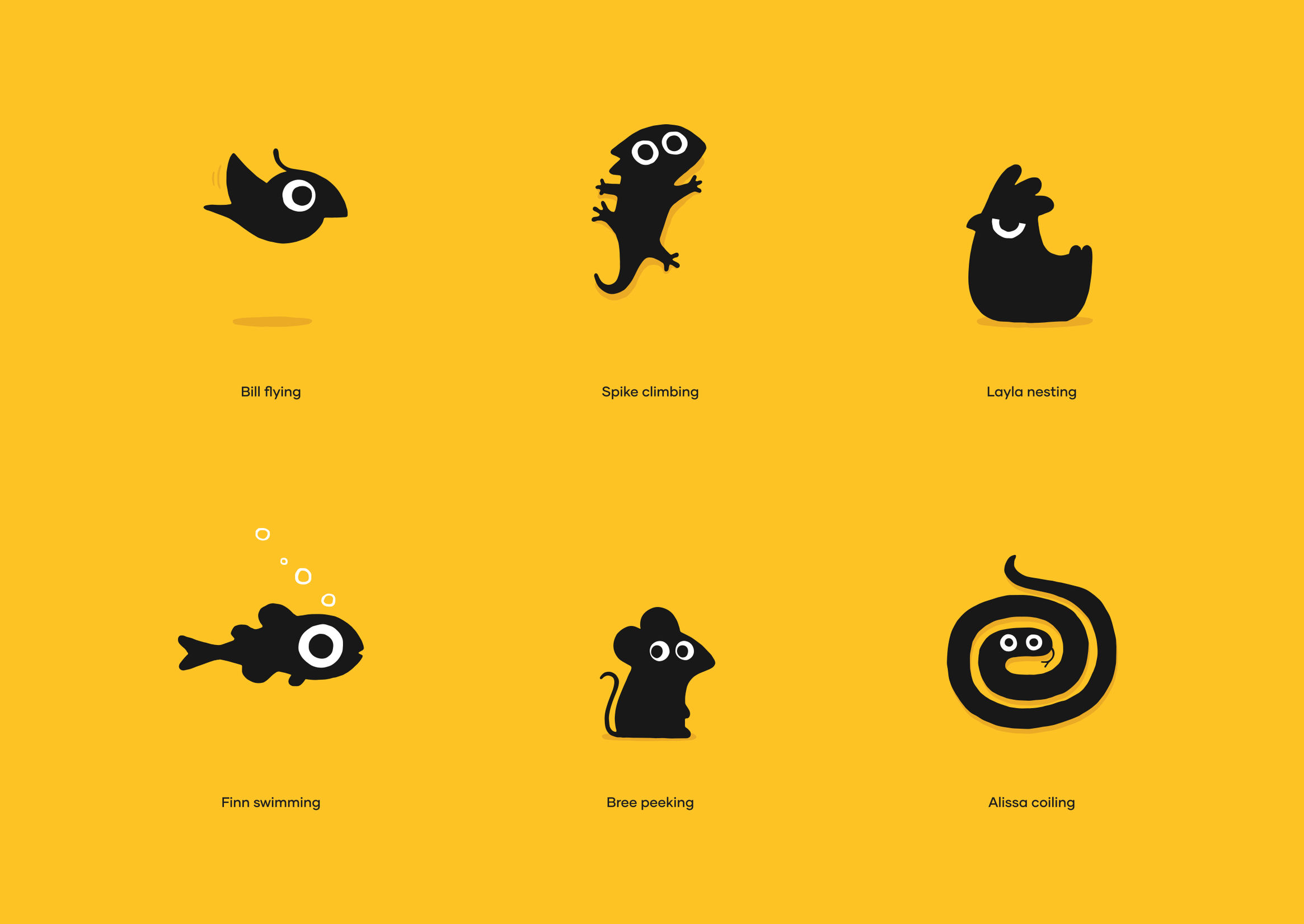 Petbarn | Best Awards