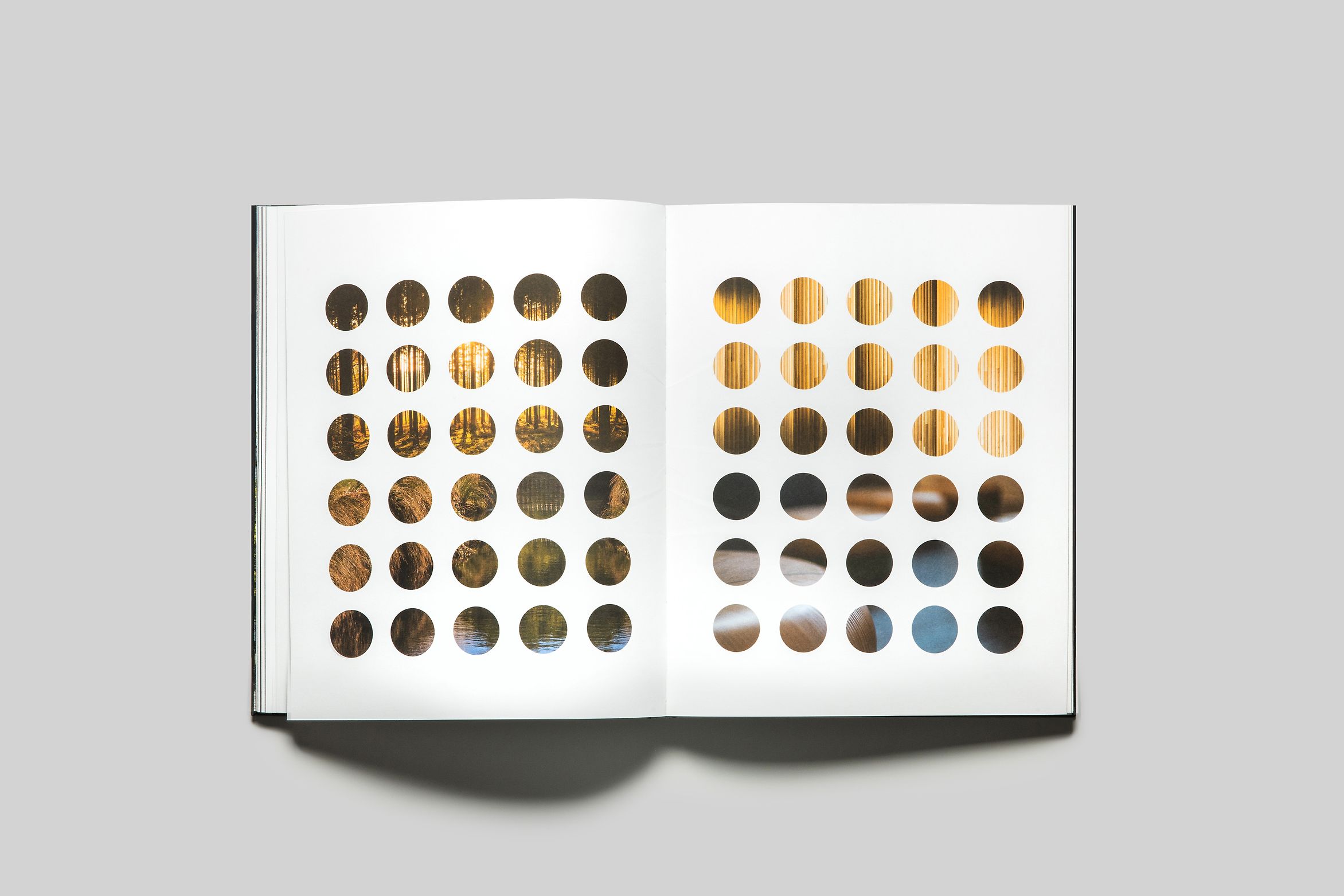 Te Pae | Best Awards