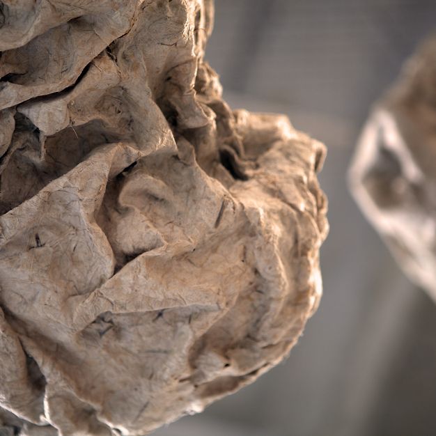 Zak Thomson | Best Awards