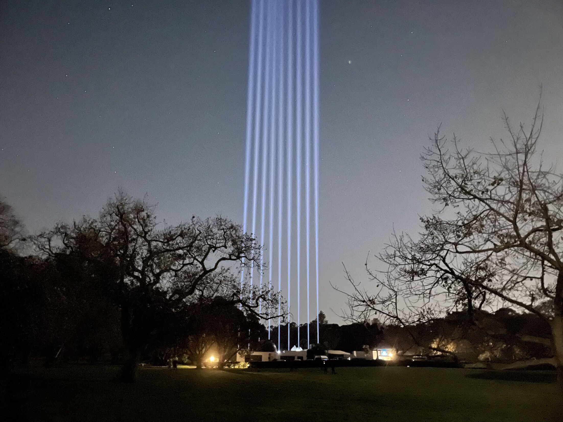 Matariki Lights | Best Awards