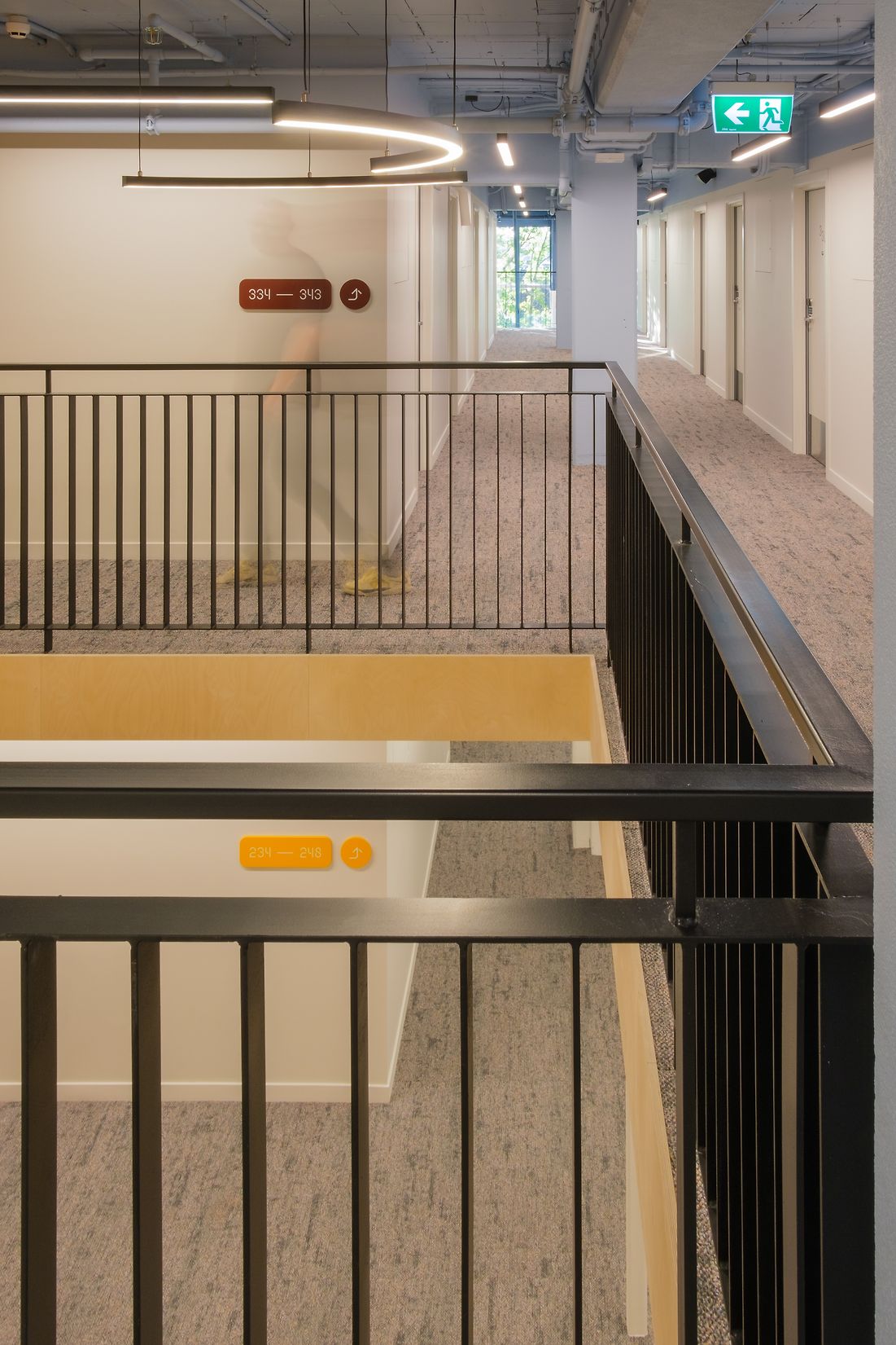 LyLo Auckland | Best Awards