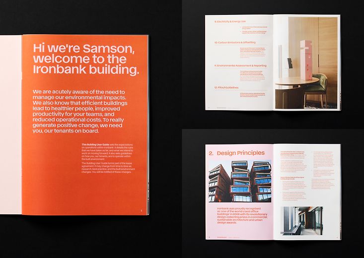 Samson | Best Awards