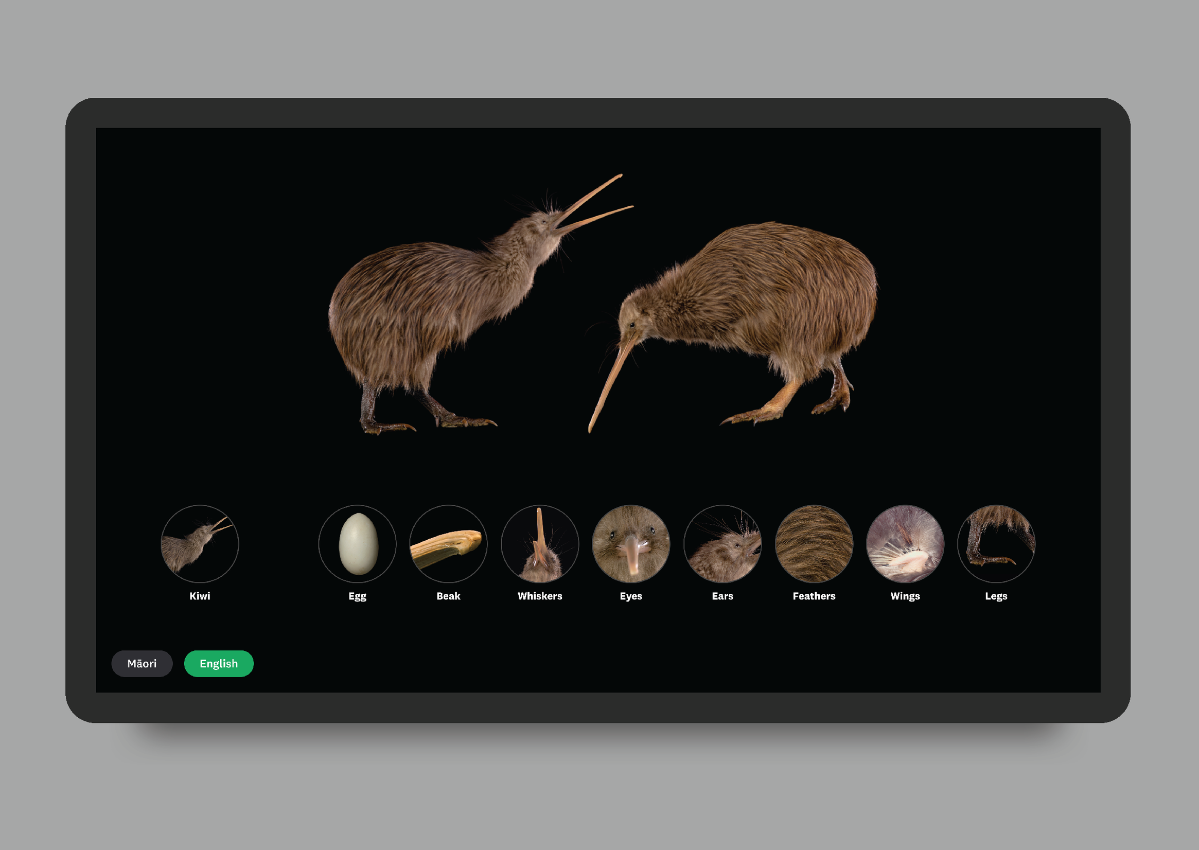 Te Taiao | Nature Digital labels | Best Awards