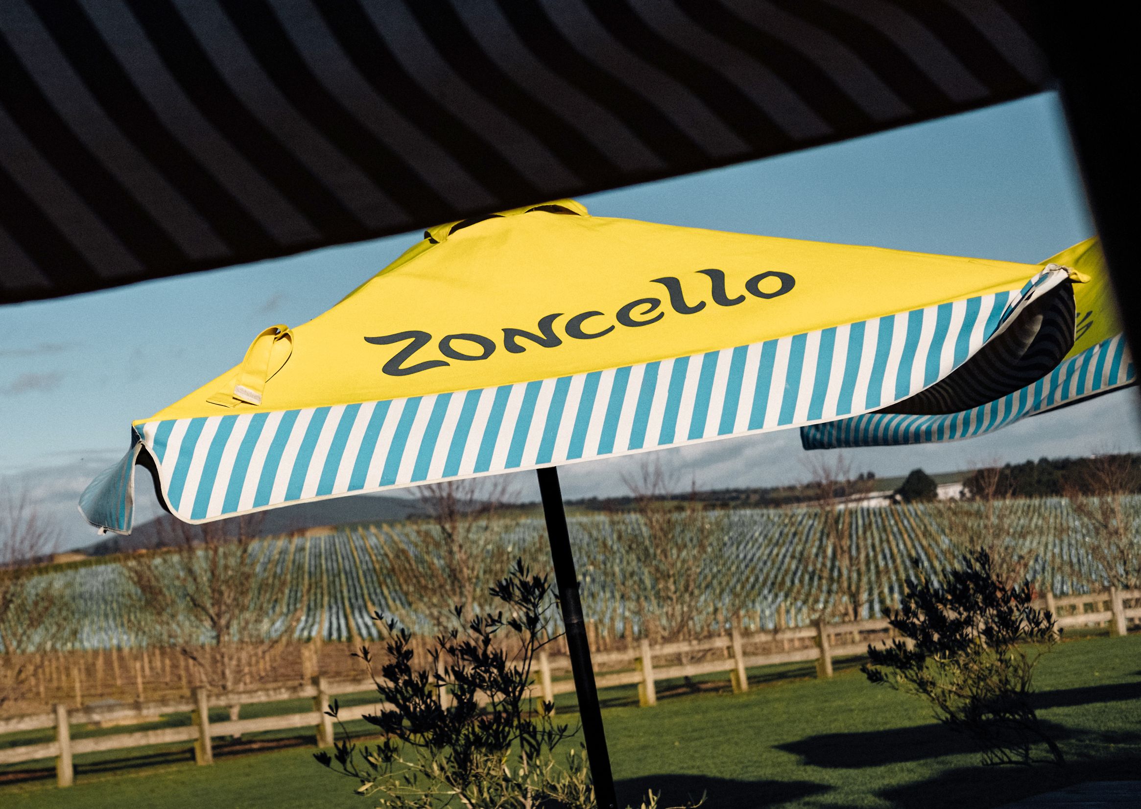 Zoncello Limoncello Spritz | Best Awards