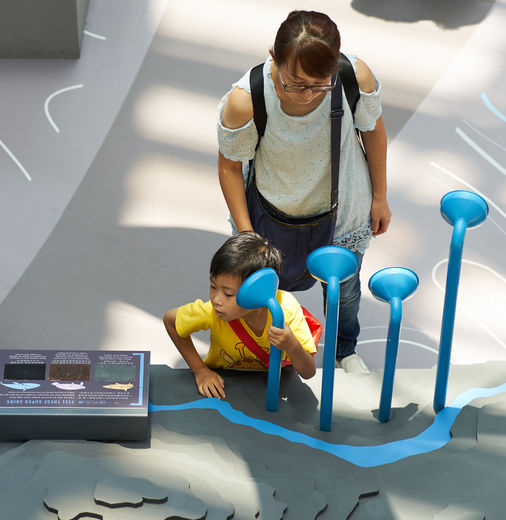 Wonders of the Ocean | Best Awards