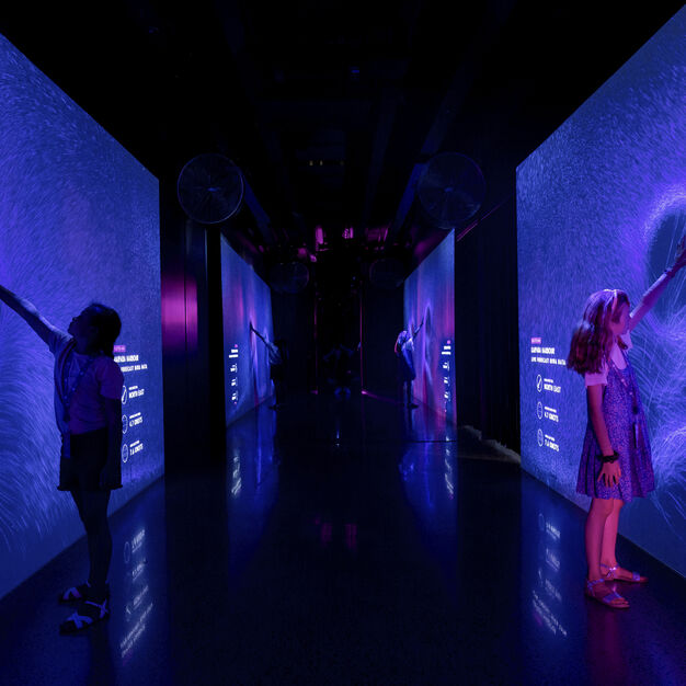 Moving Image | Best Awards