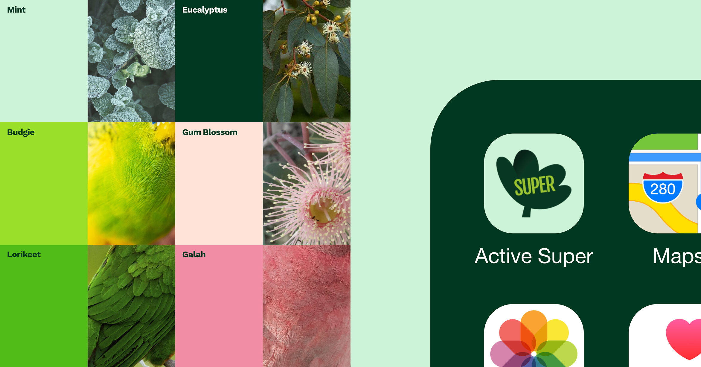 Active Super Rebrand | Best Awards