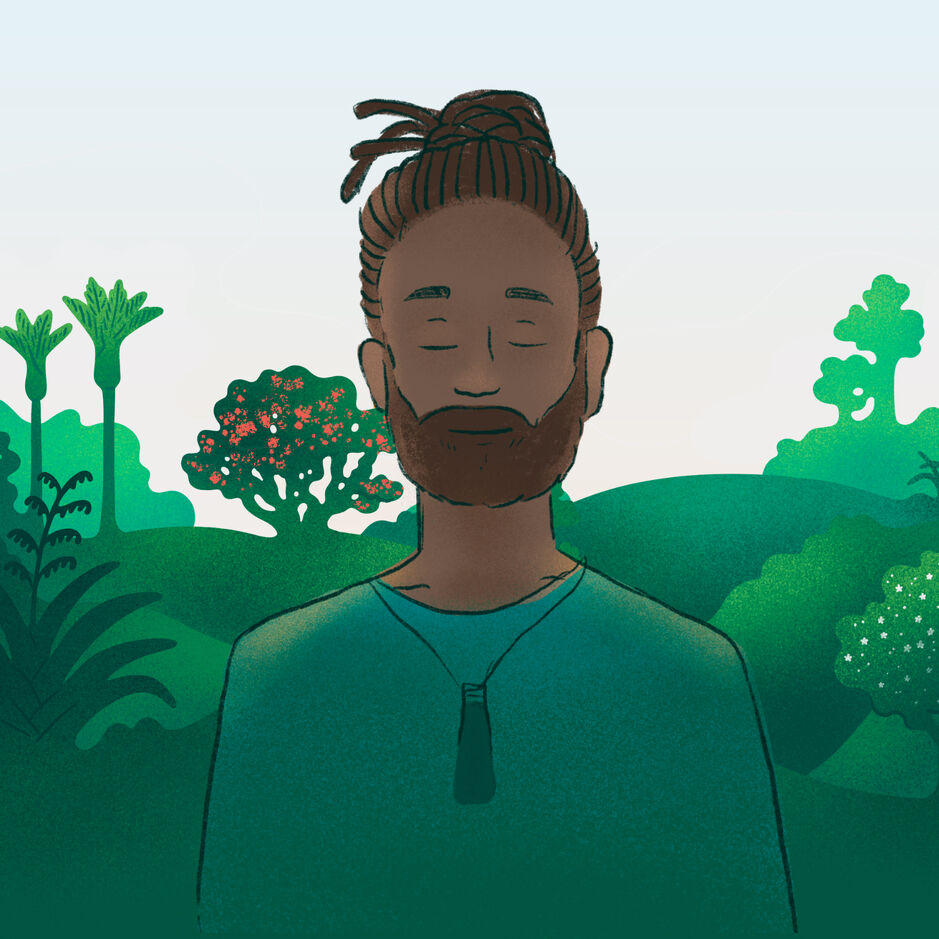 Te Hiringa Hauora | Best Awards