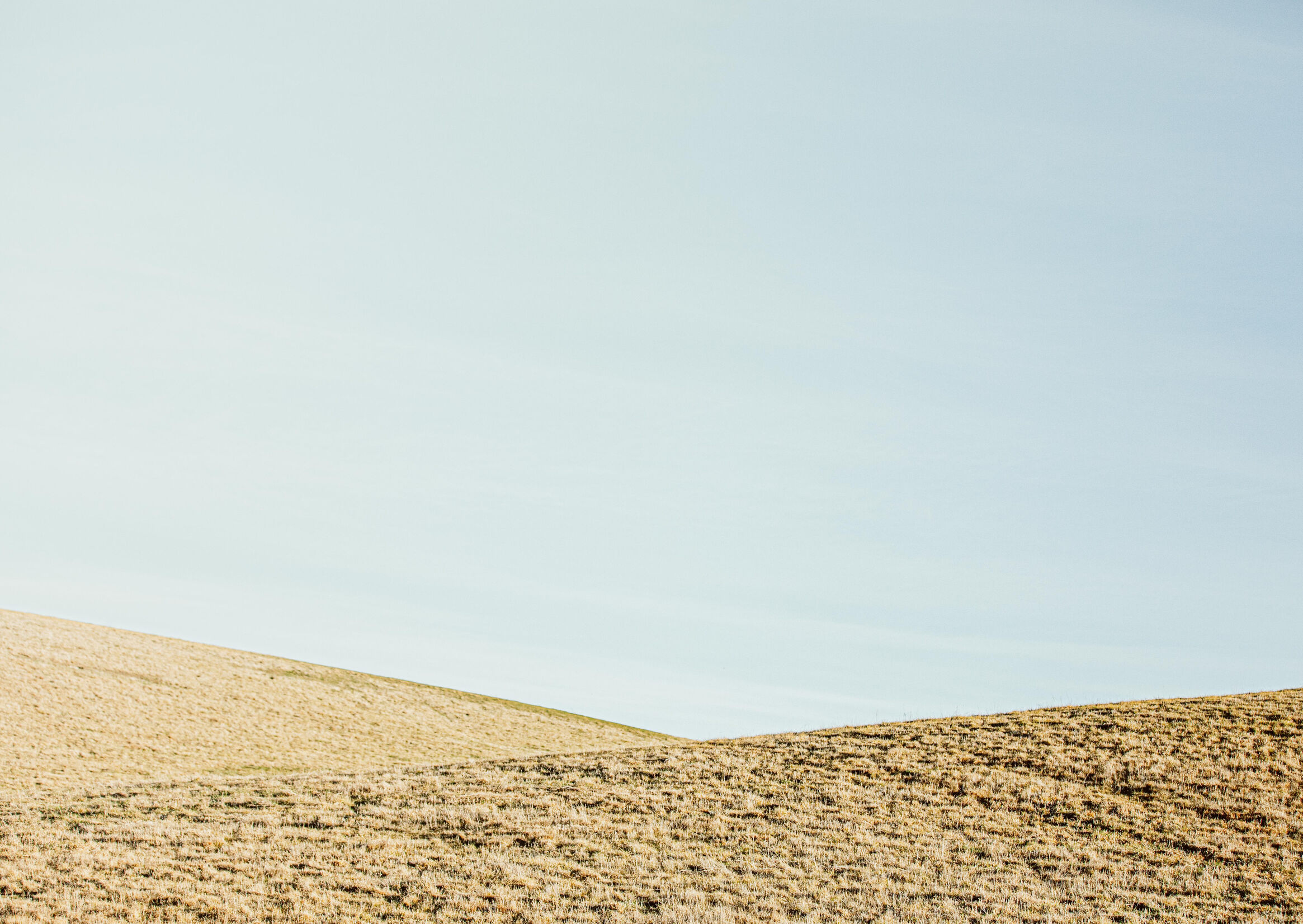 Whitestone Cheese Brand Photography | Best Awards