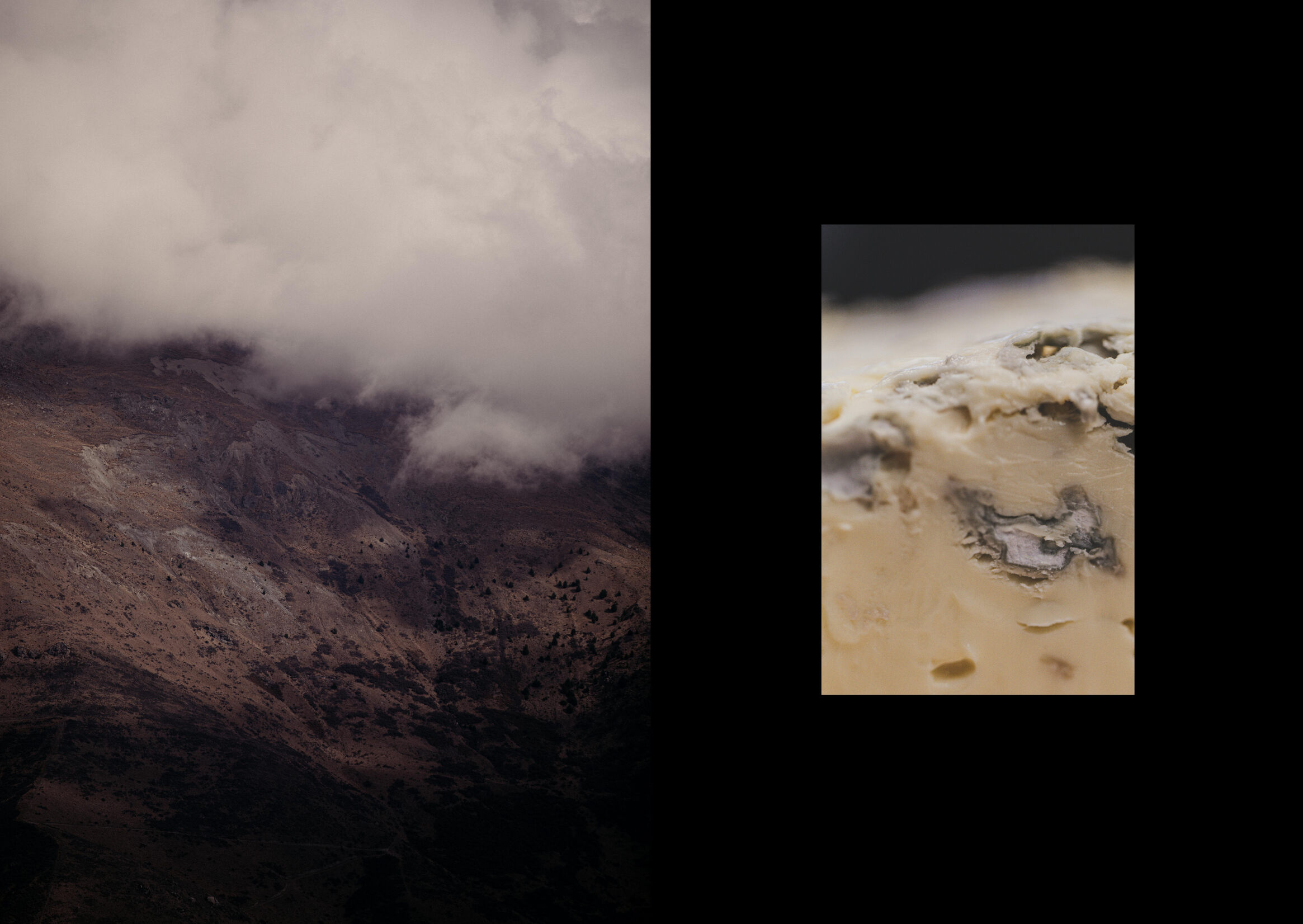 Whitestone Cheese Brand Photography | Best Awards