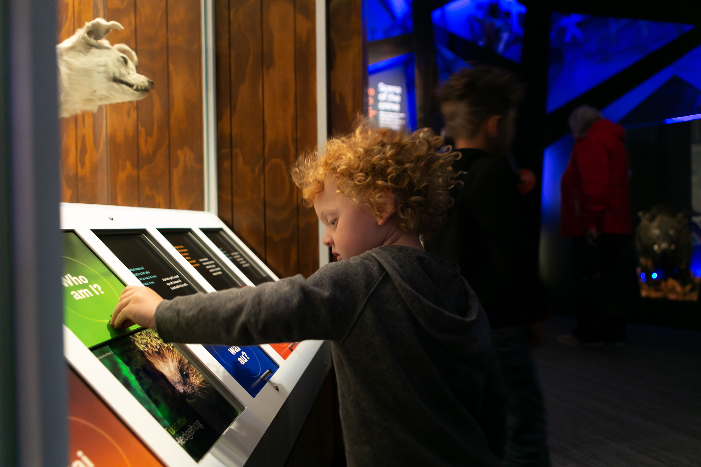 Te Taiao | Nature | Best Awards