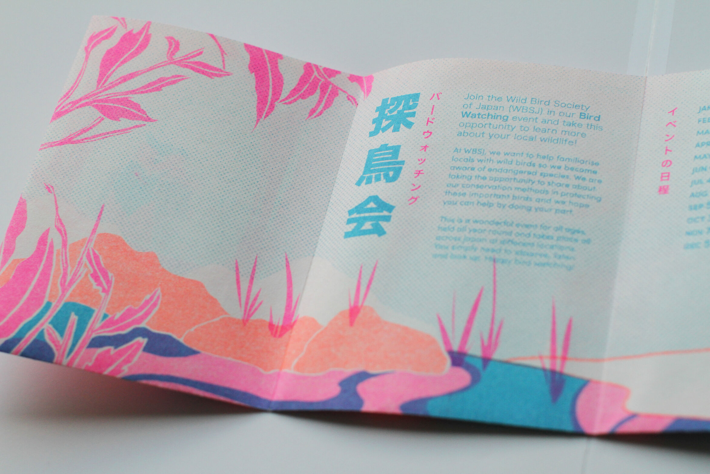 Promotional Flyer for WBSJ - Bird Watching Event | Best Design Awards