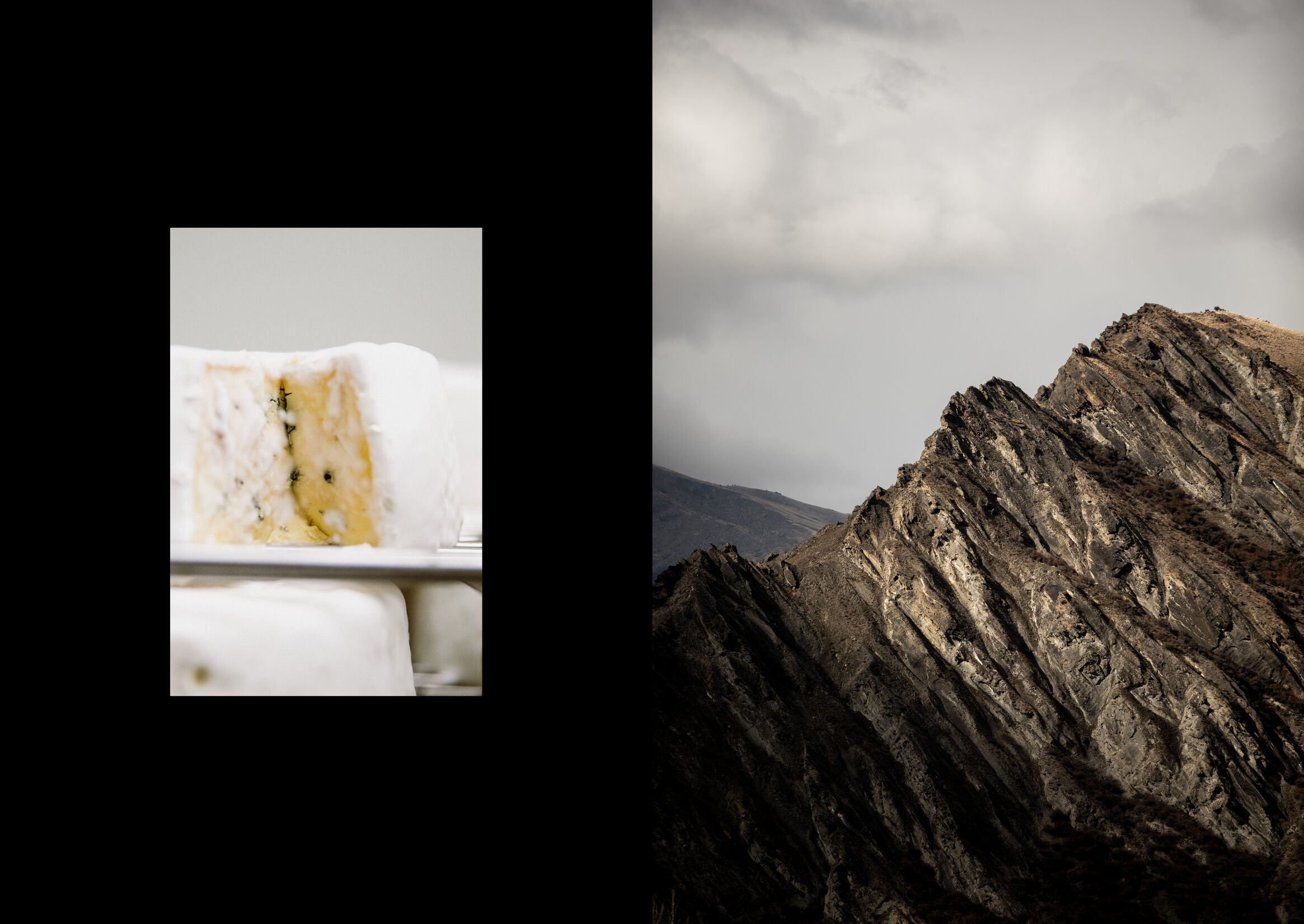 Whitestone Cheese Brand Photography | Best Awards