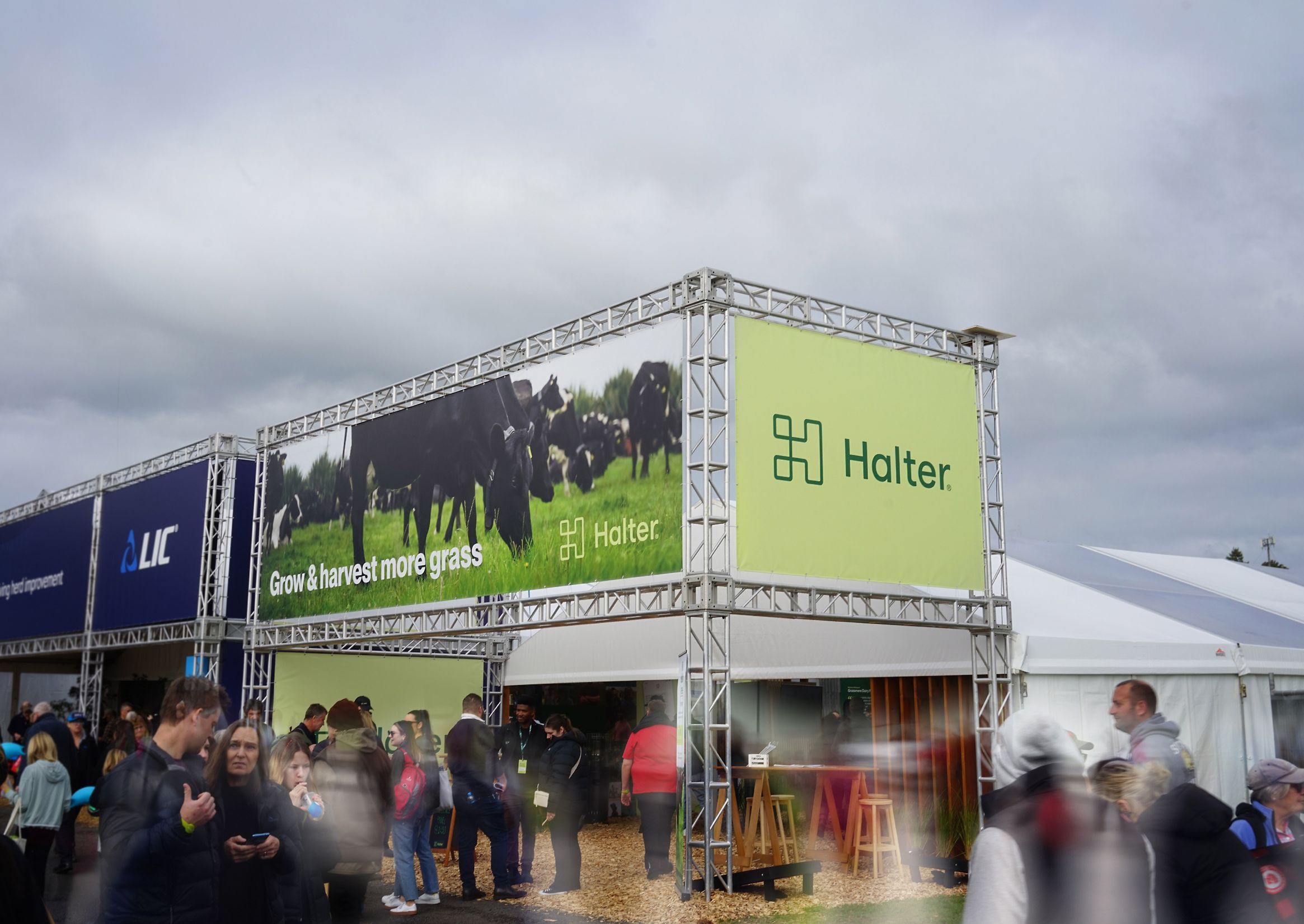 Halter Brand Transformation | Best Design Awards
