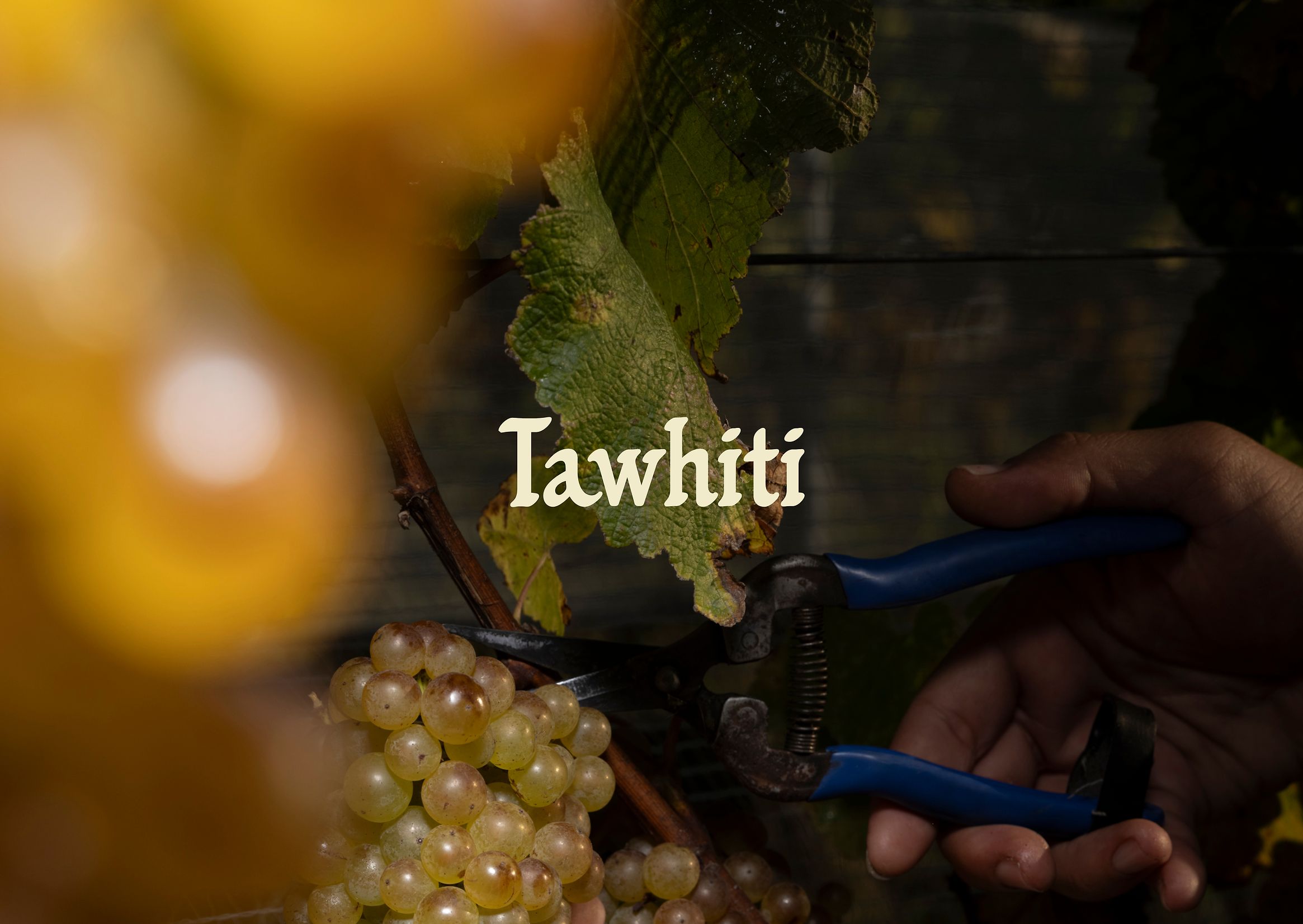 Tawhiti Wines | Best Awards