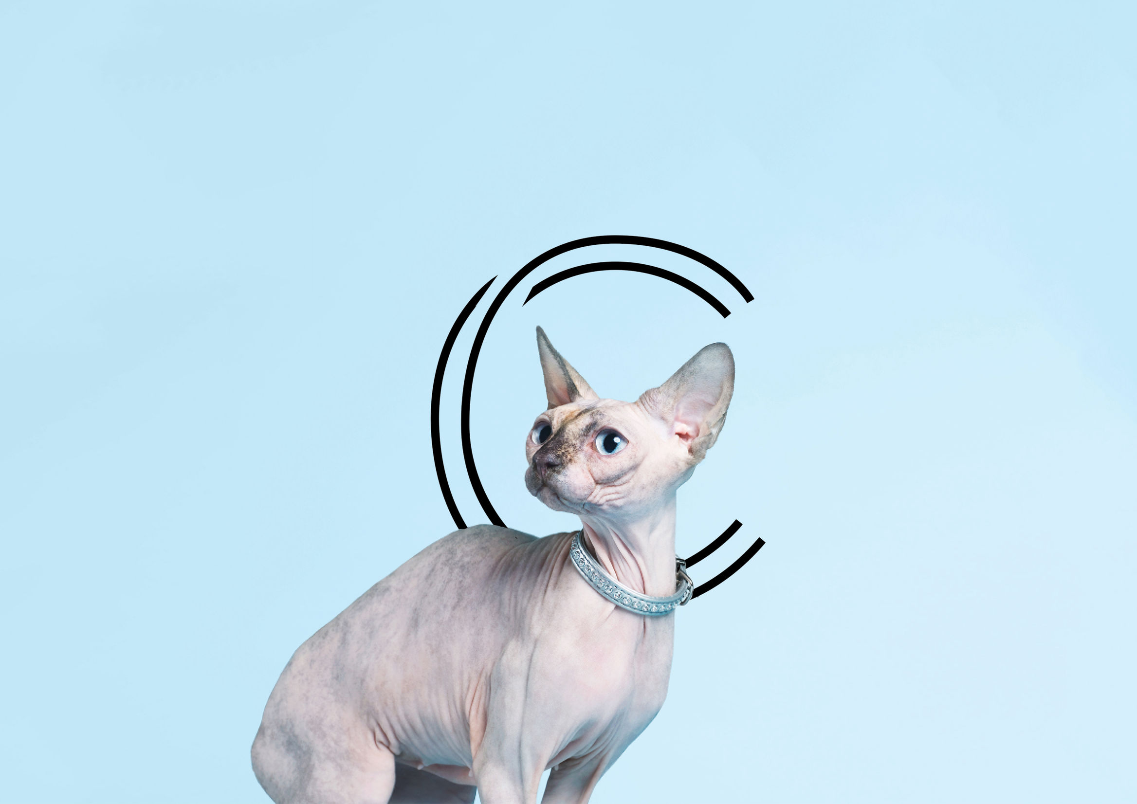 Match Photographers | Best Awards