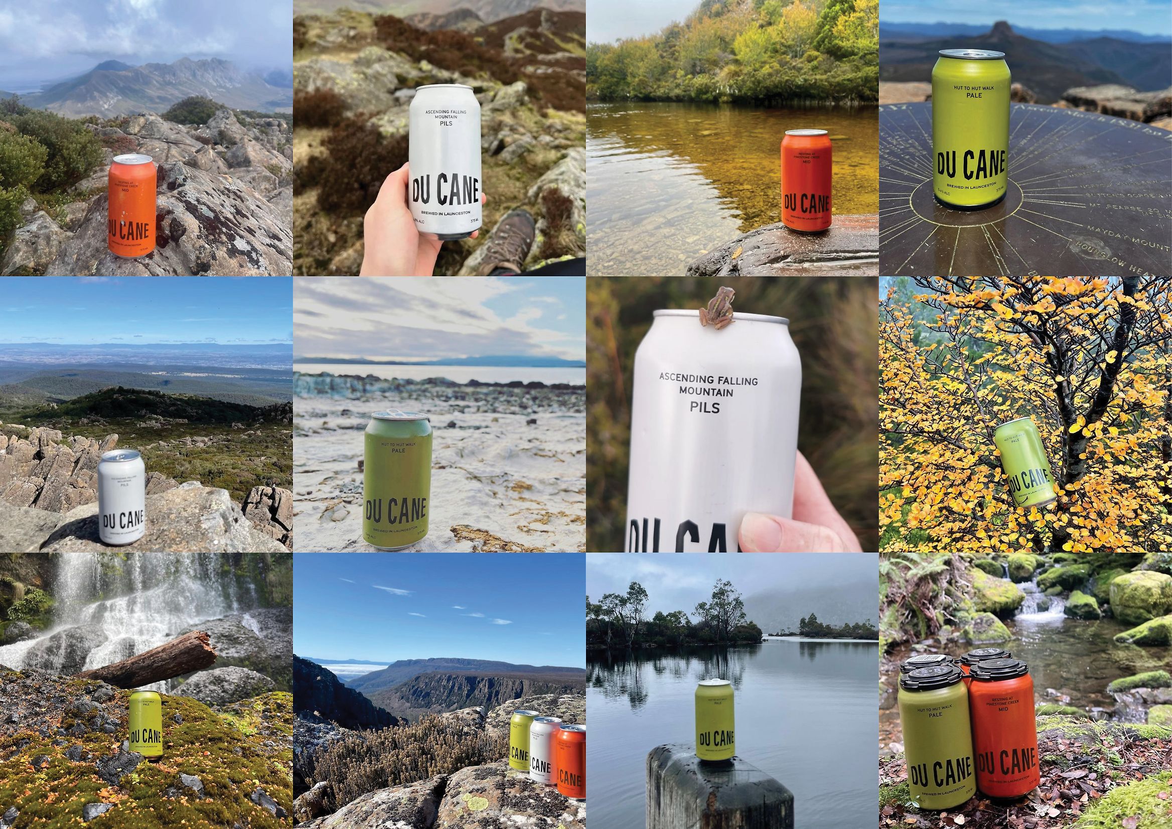 Du Cane Brewing Co. | Best Awards