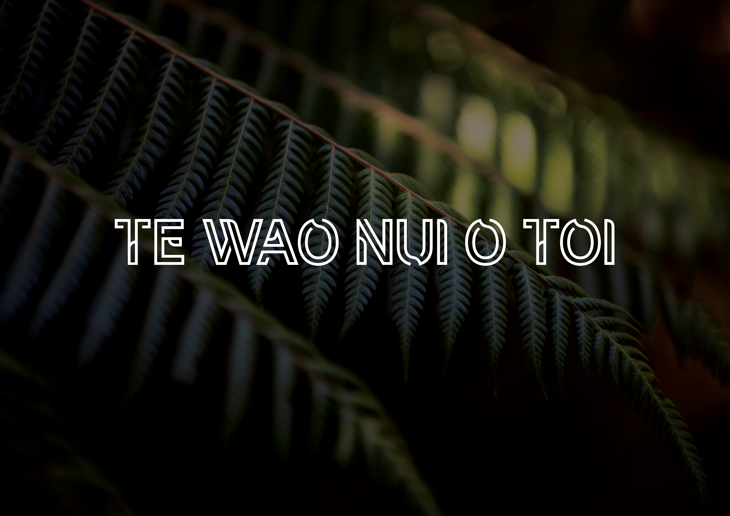 Te Wao Nui o Toi Display | Best Awards