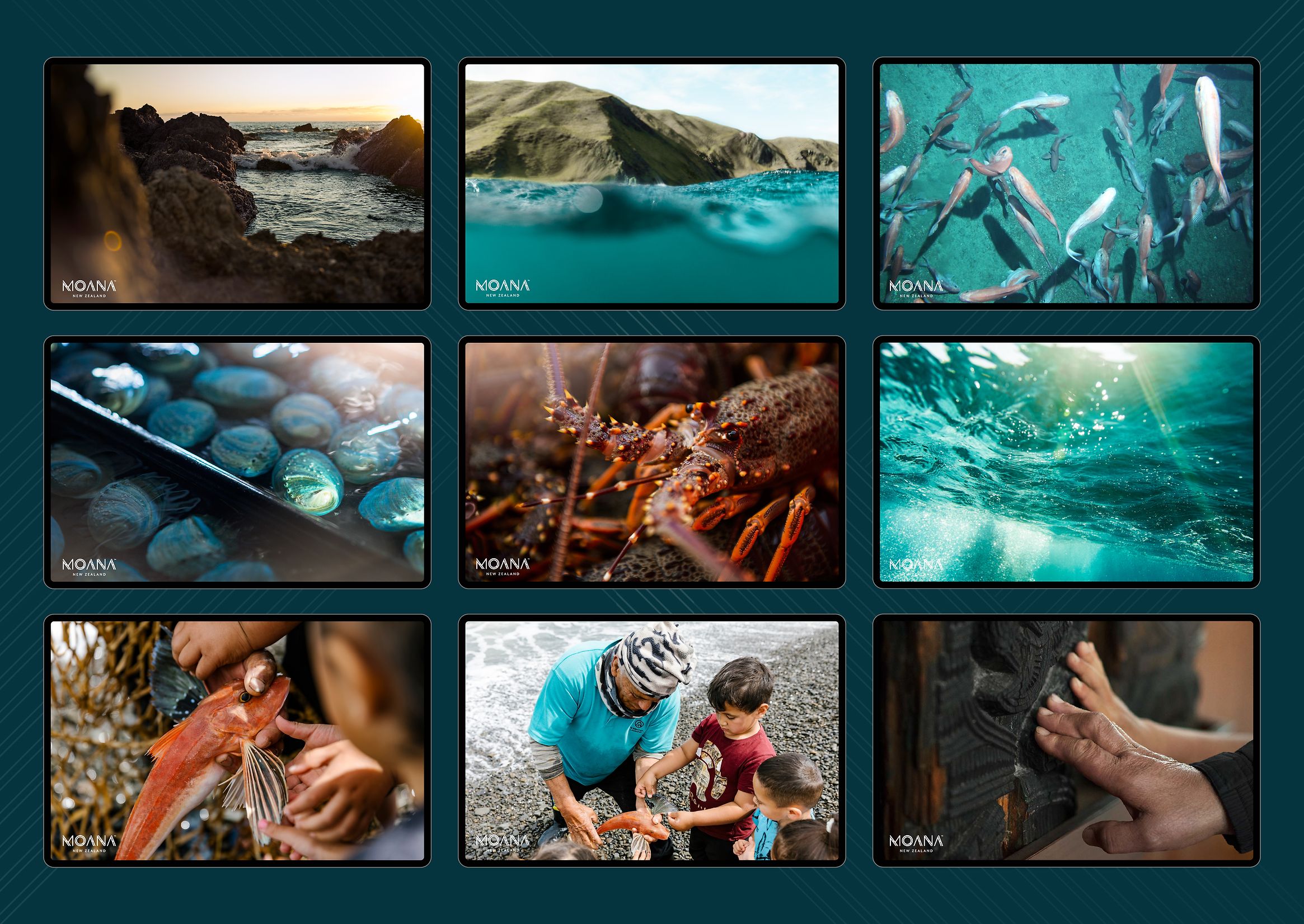 Moana Annual Report 2022 | Best Design Awards