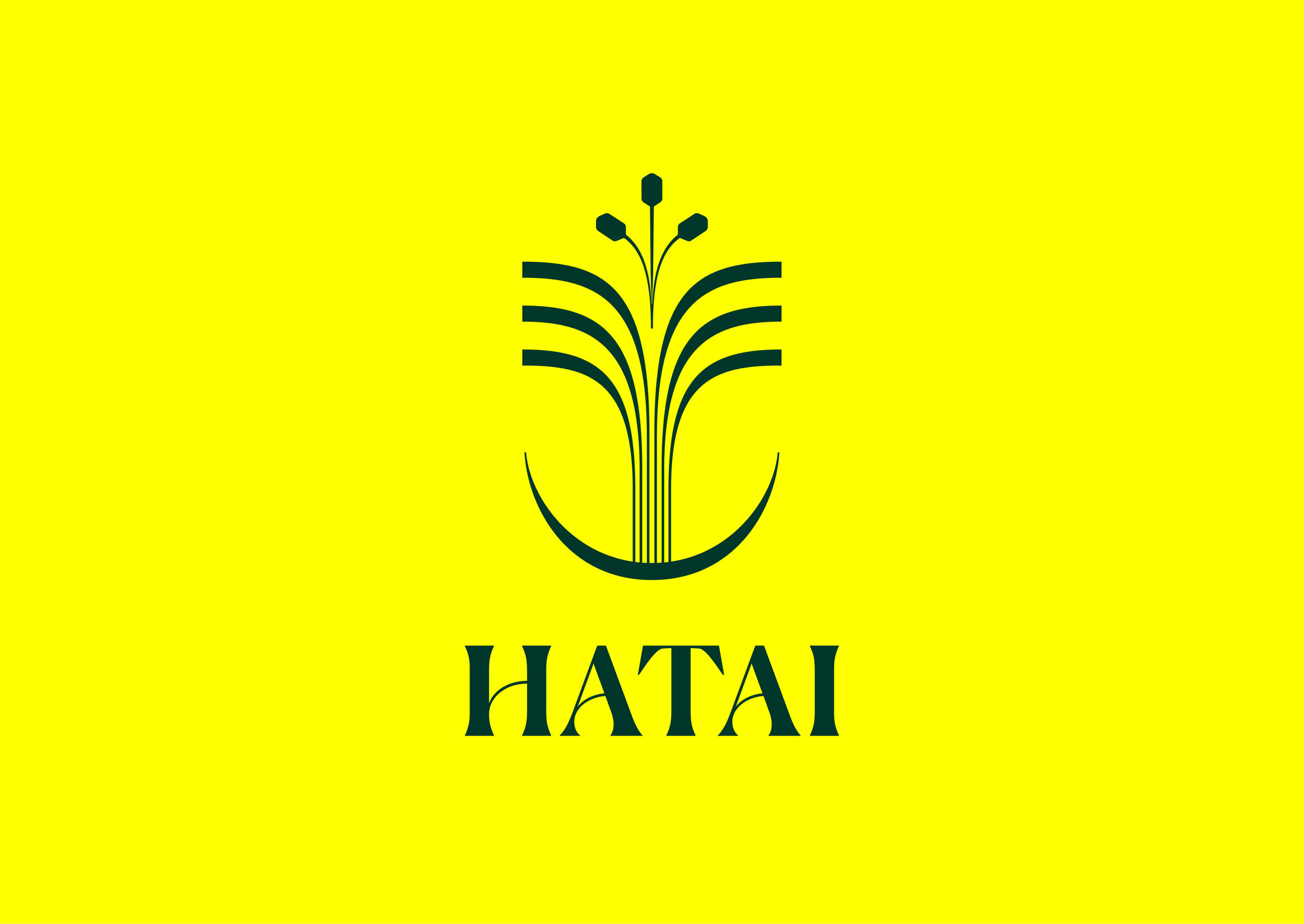 Hatai | Best Awards