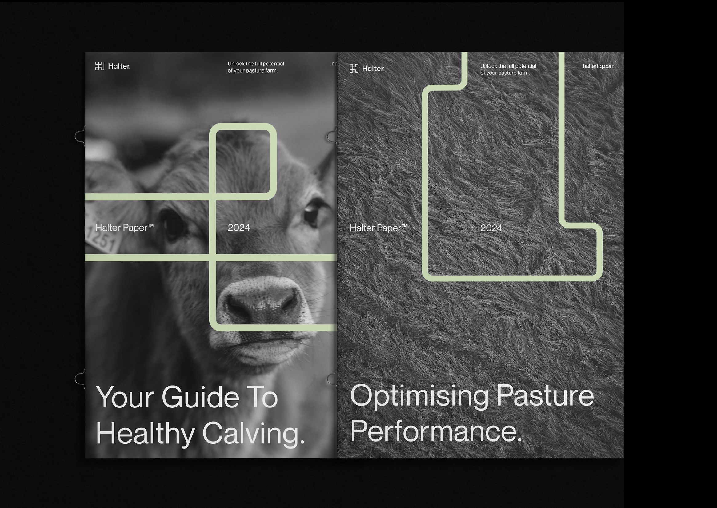 Halter Brand Transformation | Best Design Awards