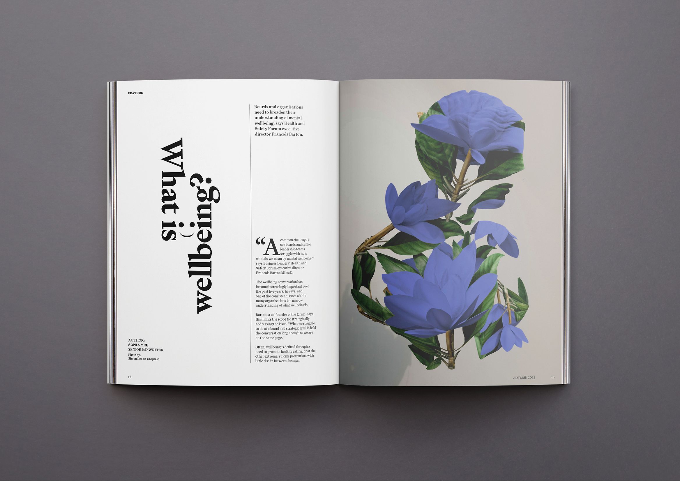 Institute of Directors, Boardroom Magazine | Best Design Awards