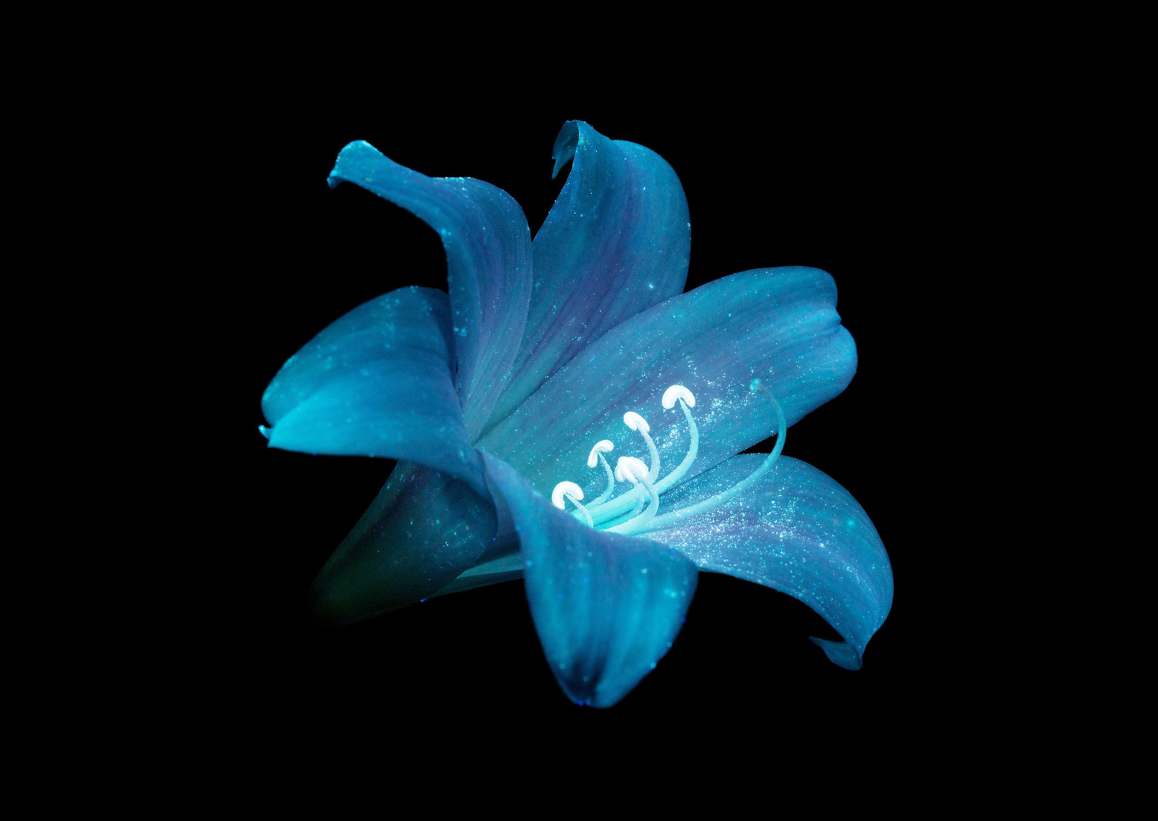 Mānuka Health New Zealand Rebrand | Best Awards