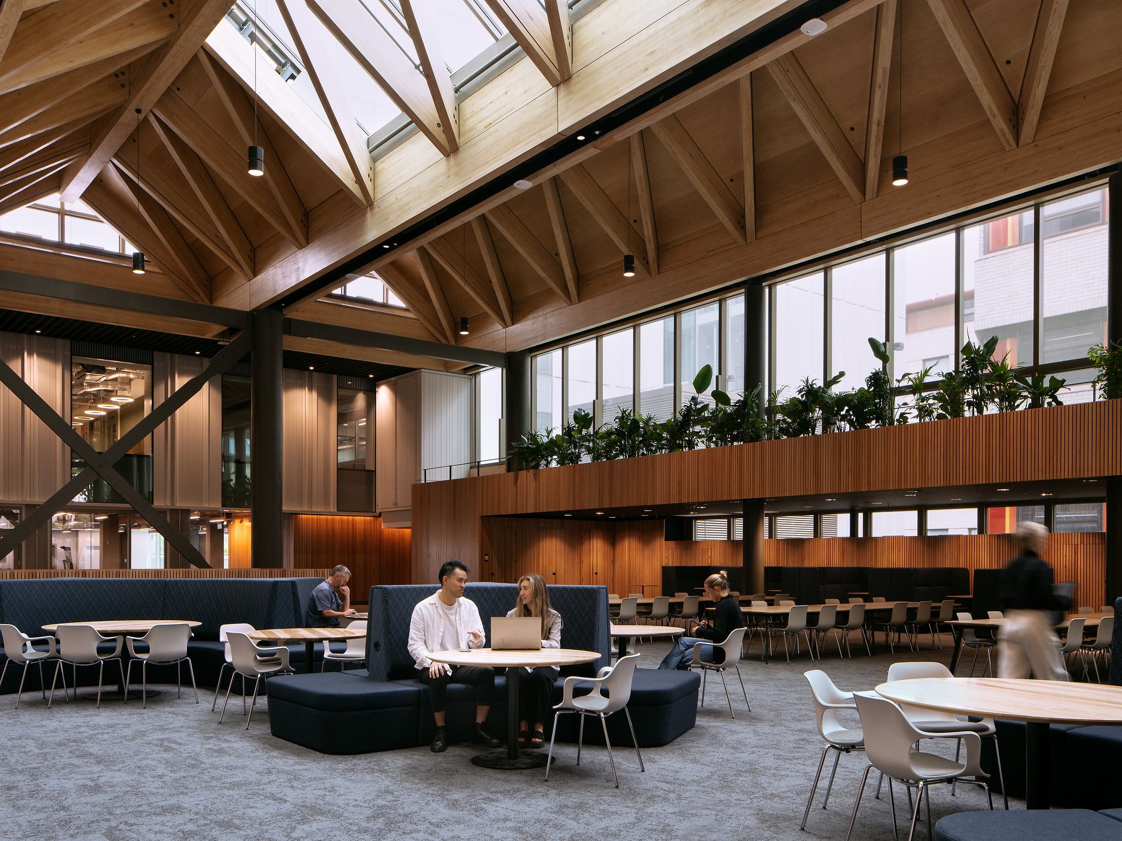 B201, University of Auckland | Waipapa Taumata Rau | Best Design Awards