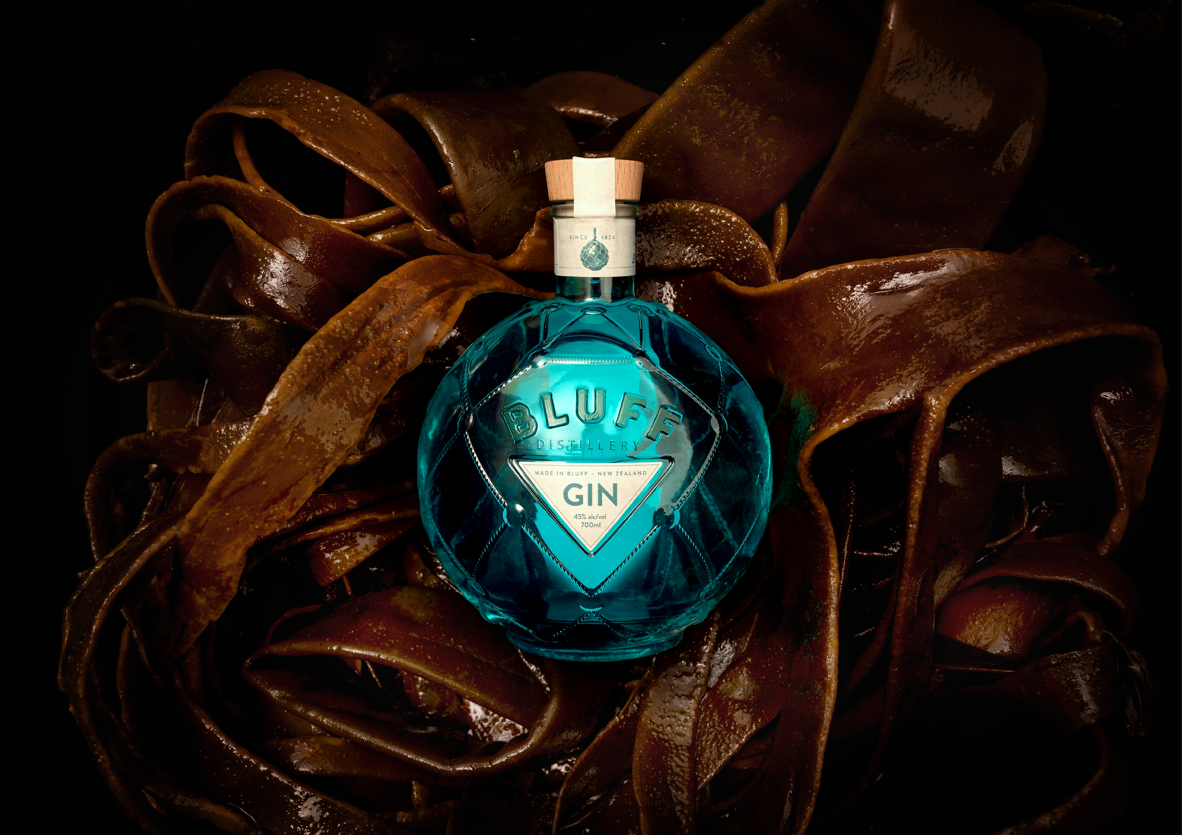 Bluff Gin | Best Design Awards