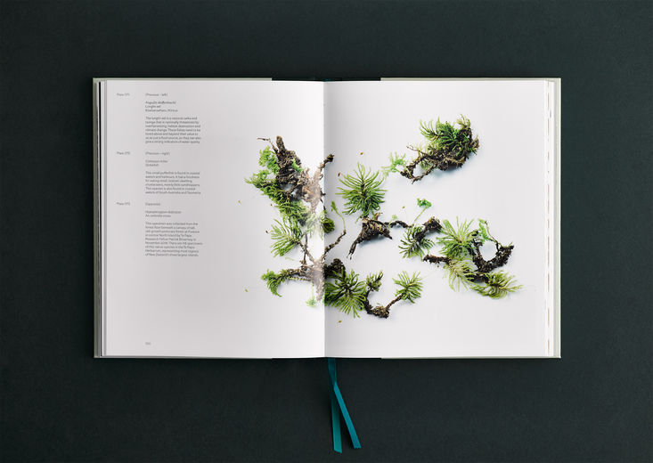 Nature Stilled | Best Awards