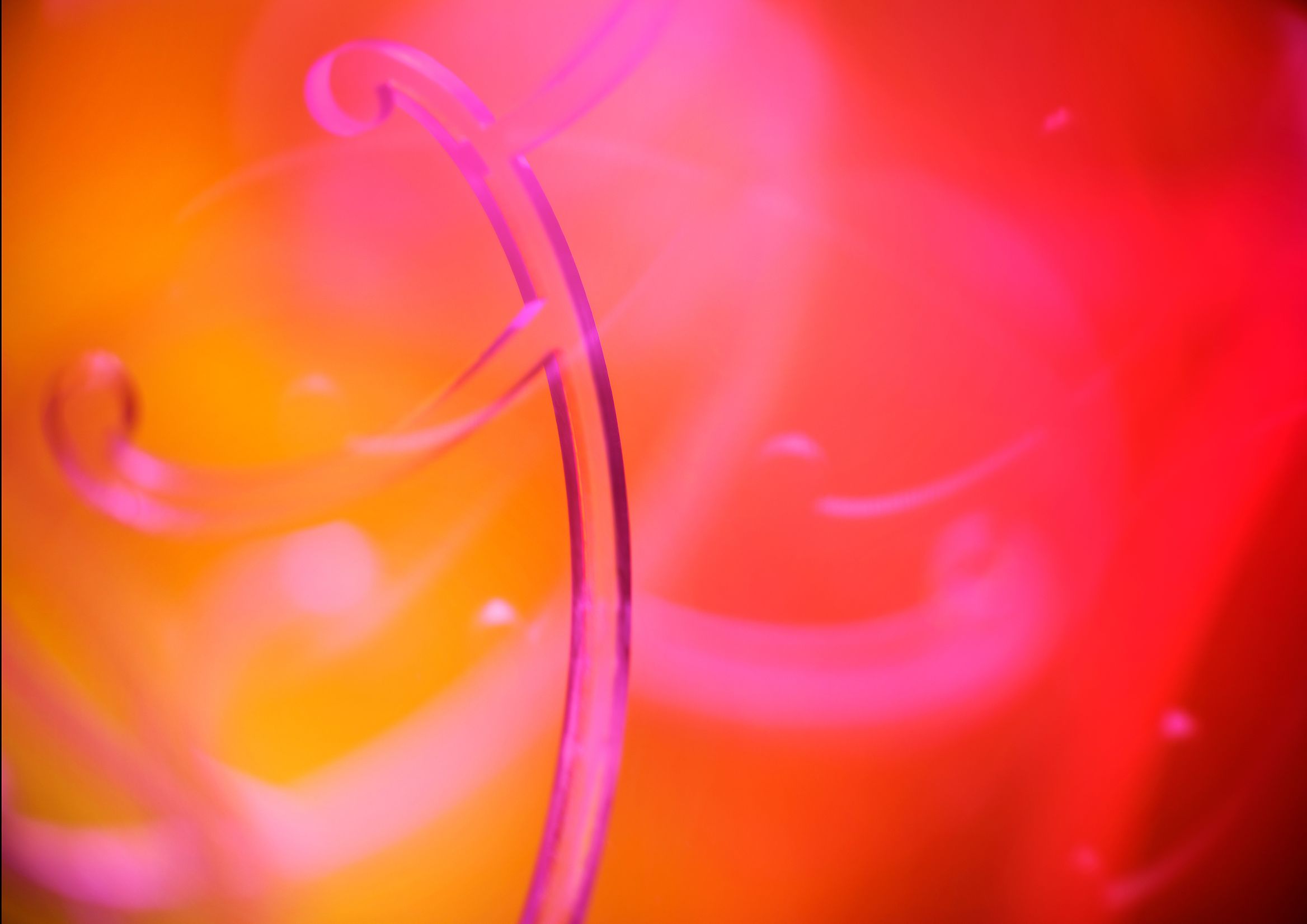 He Aka Ka Toro | Best Awards