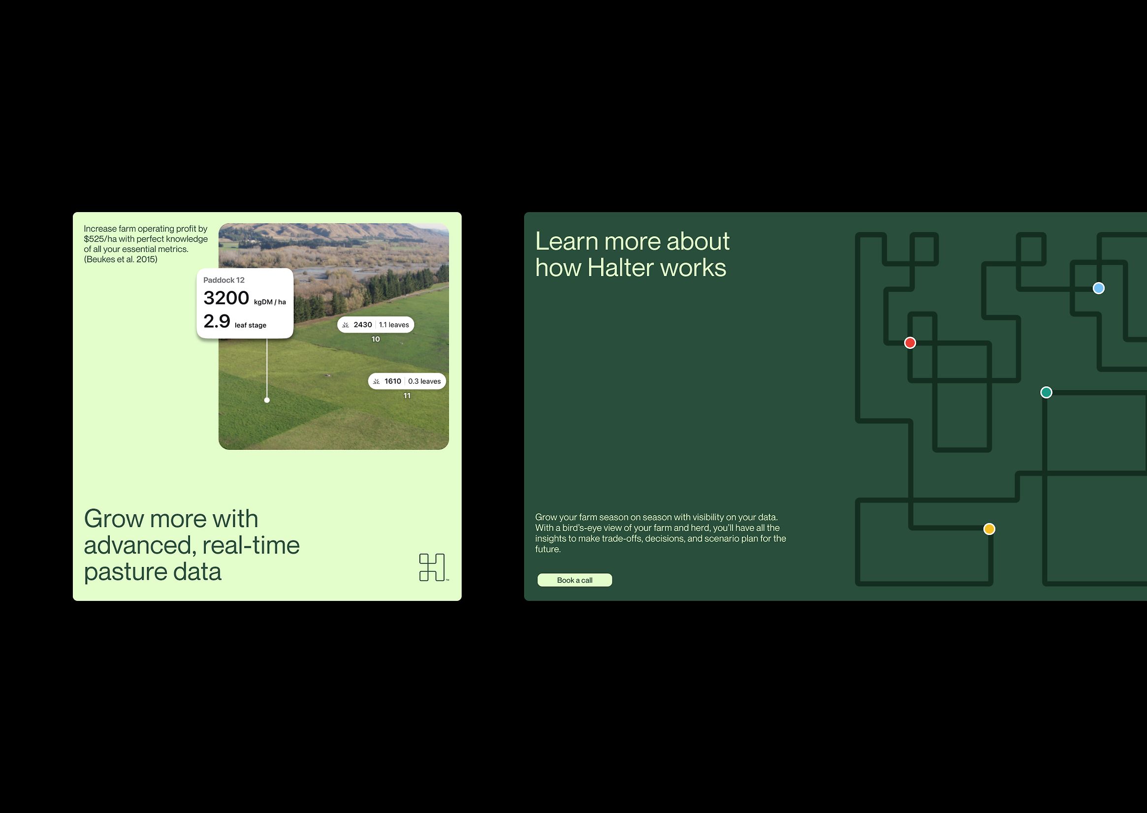 Halter Brand Transformation | Best Design Awards