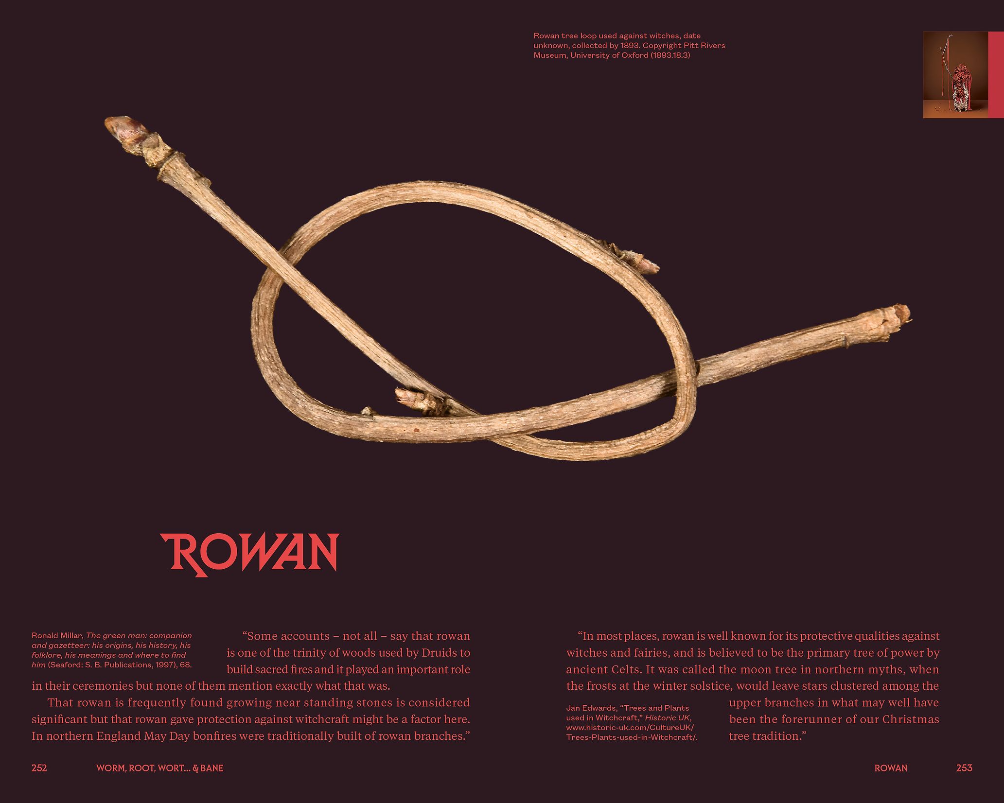 worm, root, wort... & bane | Best Awards