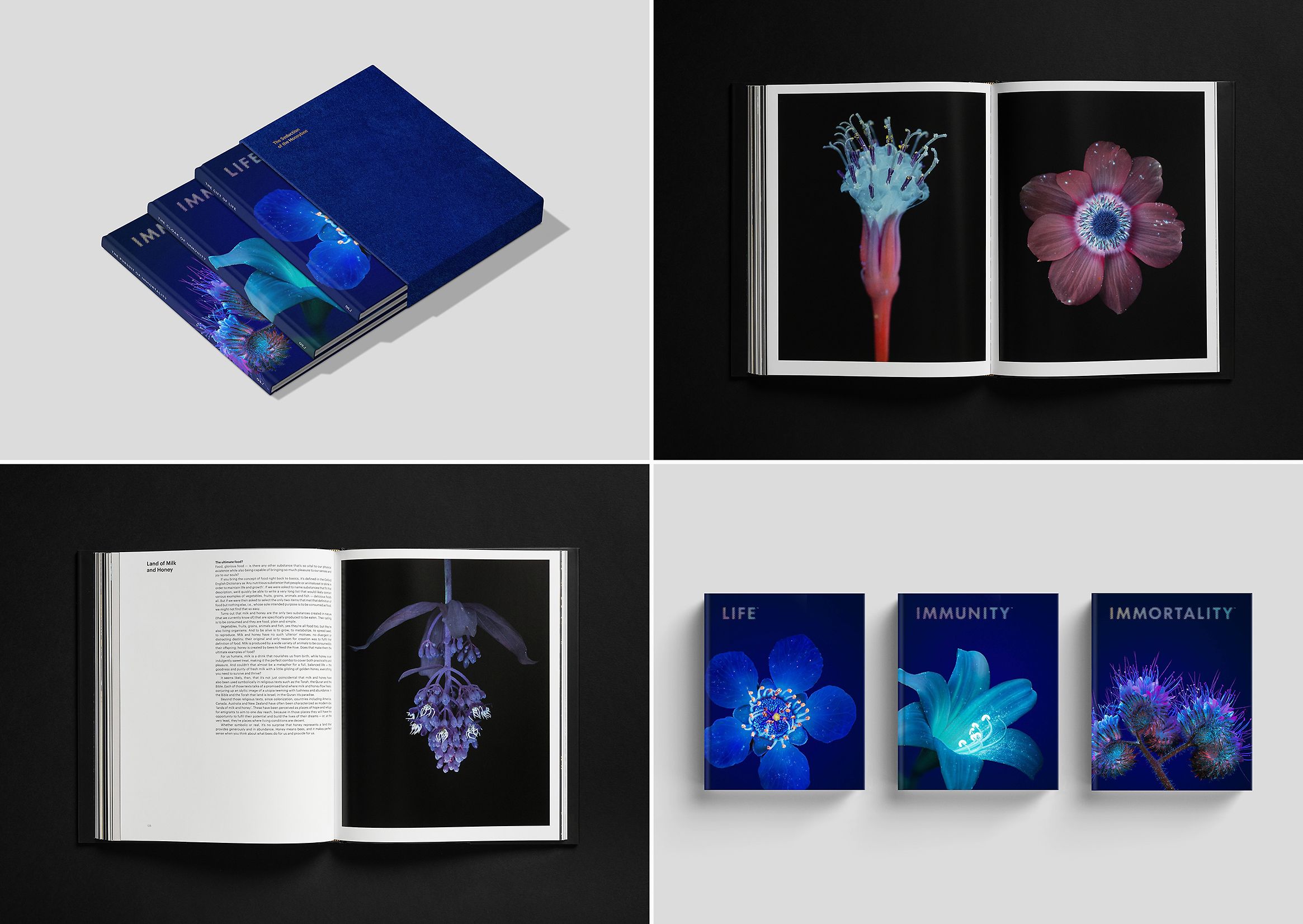 Mānuka Health New Zealand Rebrand | Best Design Awards